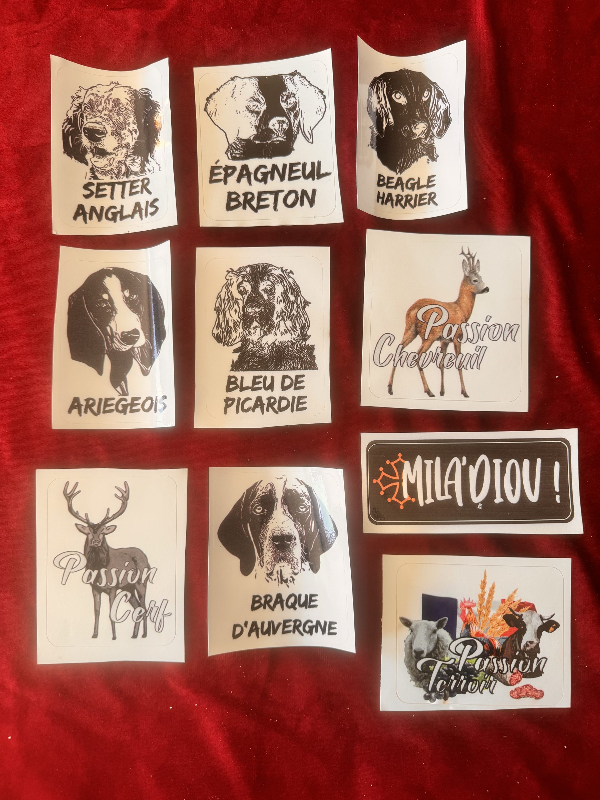 Autocollant 10 CM - Passion Traqueur